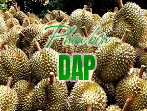 Cung cấp Phân bón DAP (Korea, TQ)